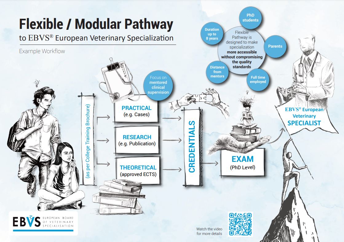 Specialist Education | EBVS